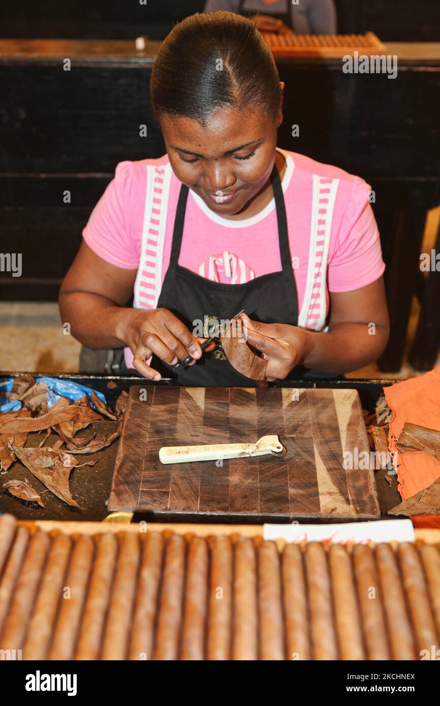 Long filler cigars hi-res stock photography and images - Alamy