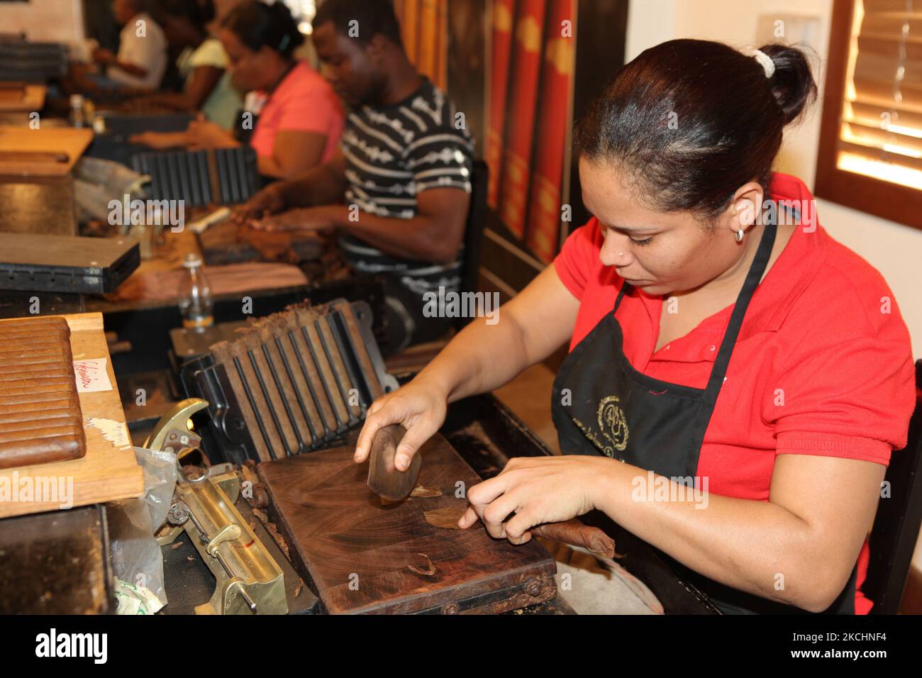 Worker uses a small blade to cut the excess tobacco leaf from a freshly ...