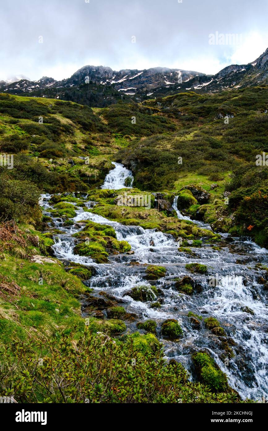 Etang dayes hi-res stock photography and images - Alamy