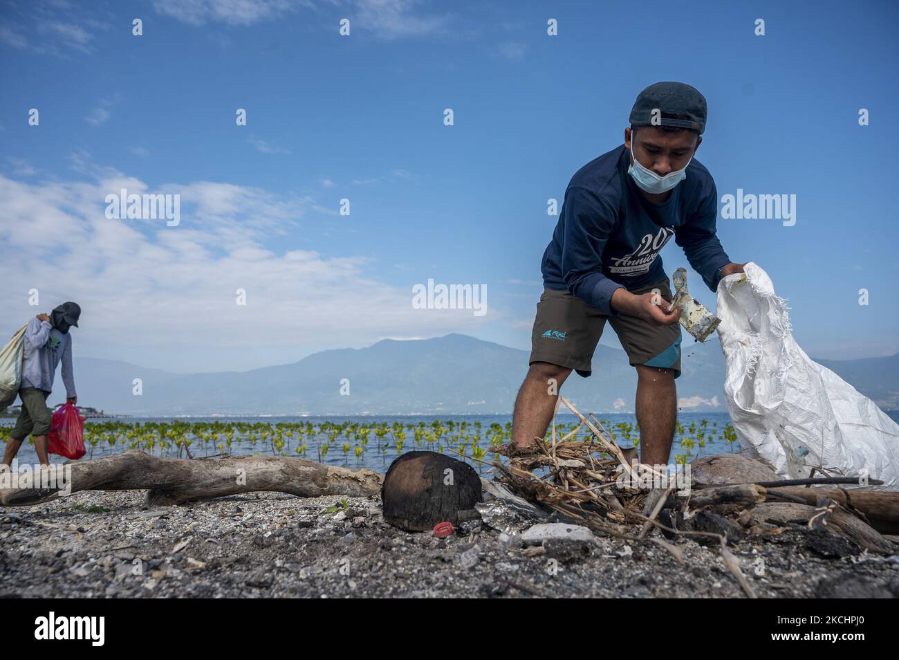 Volunteers and nature lovers pick up plastic waste in a mangrove ...