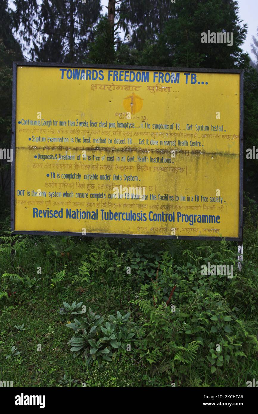 Mycobacterium tuberculosis smear hi-res stock photography and images ...