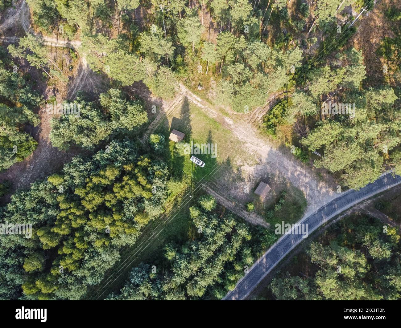 Bory tucholskie hi-res stock photography and images - Alamy