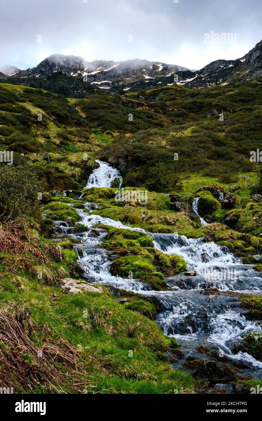 Etang dayes hi-res stock photography and images - Alamy