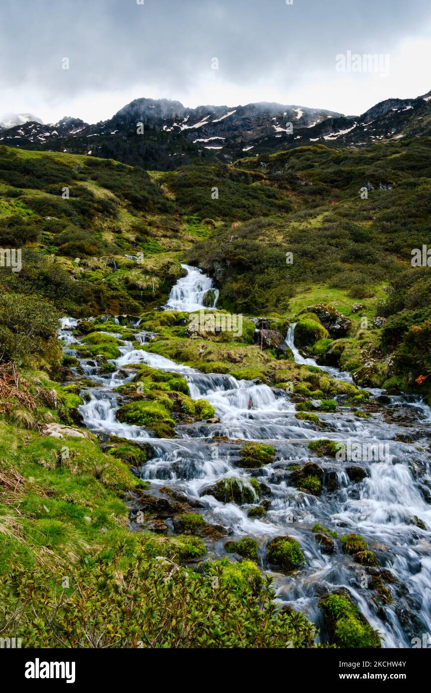 Etang dayes hi-res stock photography and images - Alamy