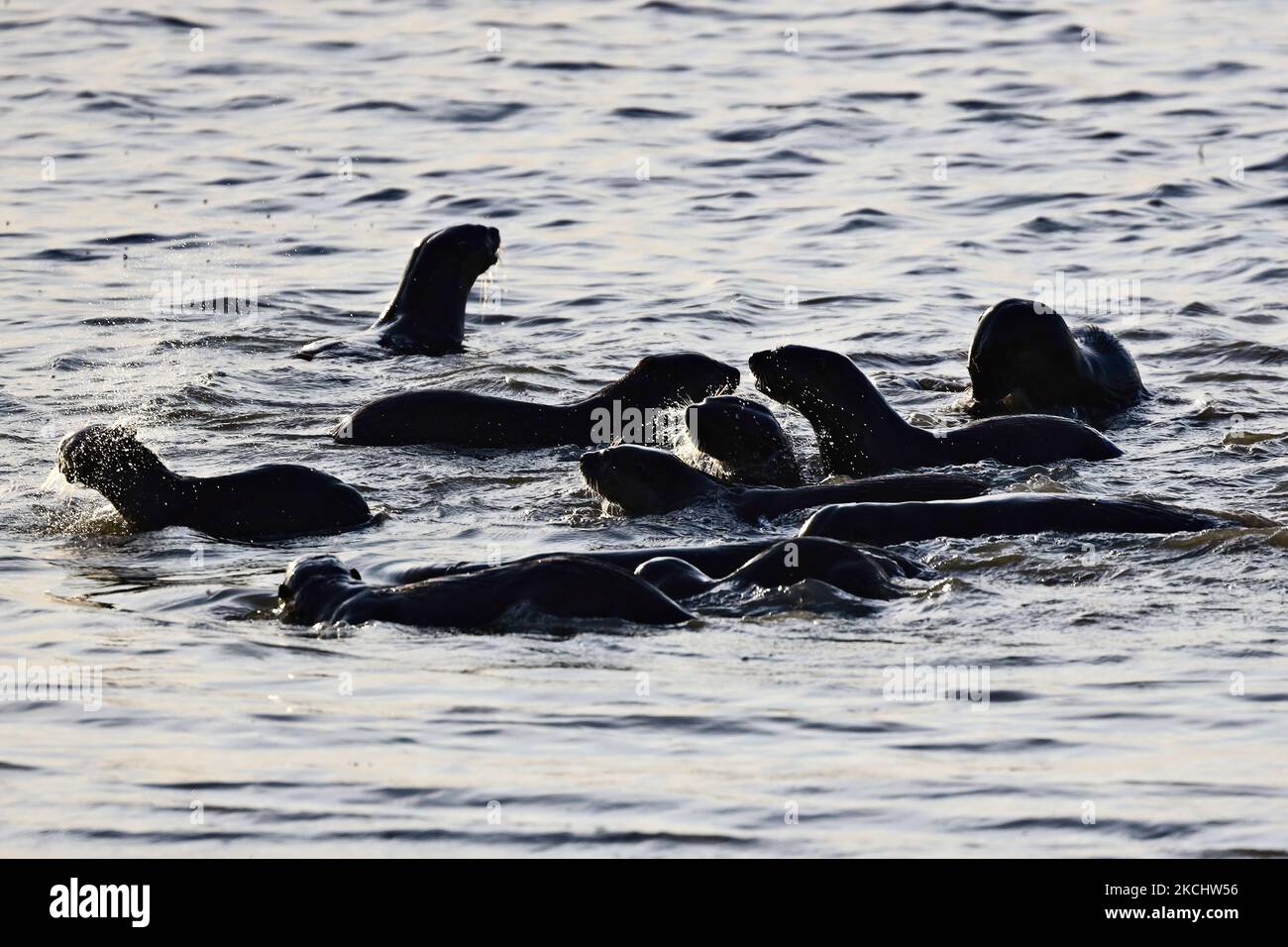 Human overpopulation hi-res stock photography and images - Alamy