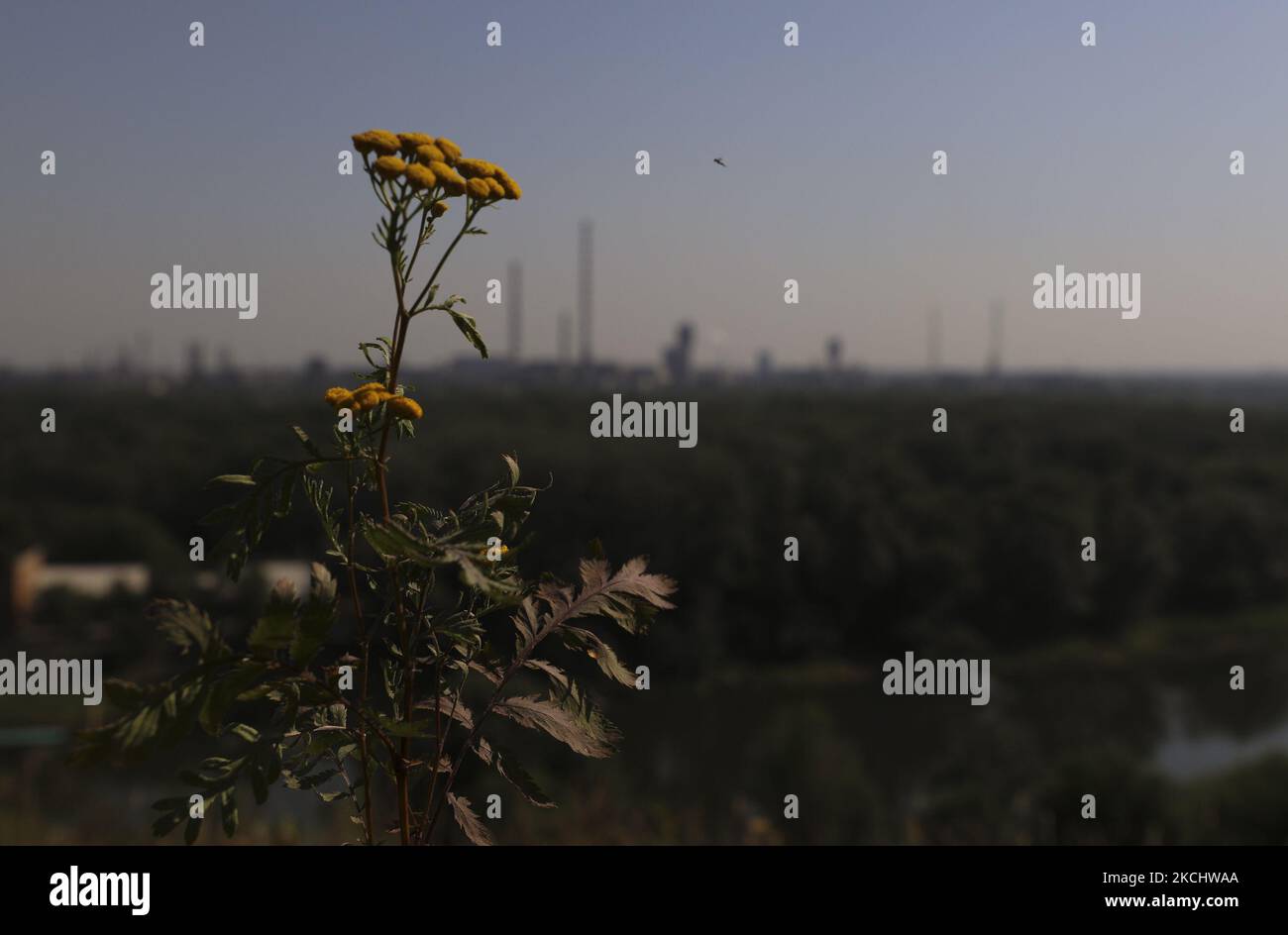 Severodonetsk chemical plant hi-res stock photography and images - Alamy