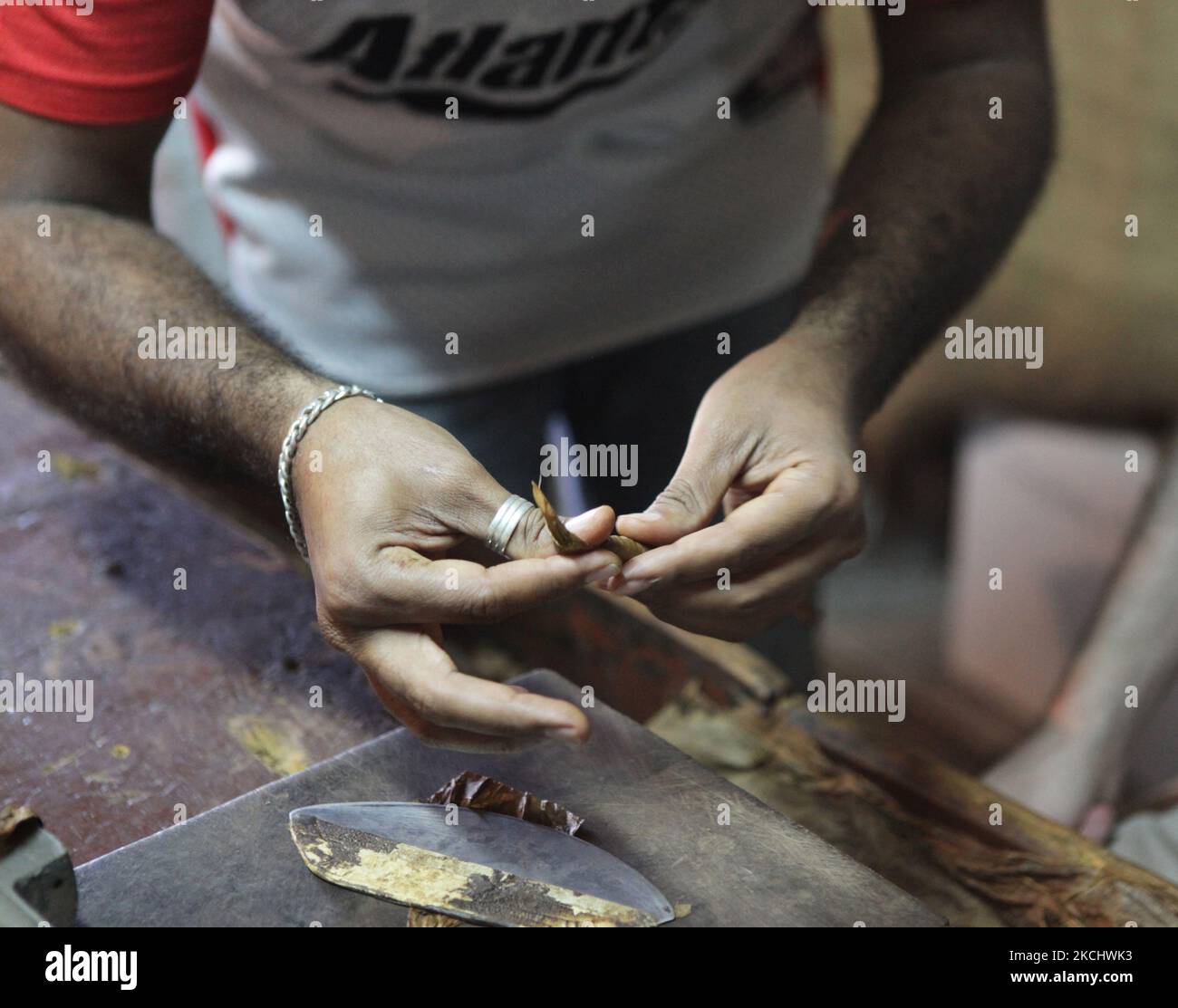 Worker sits at a work bench as he hand rolls cigars using loose tobacco ...