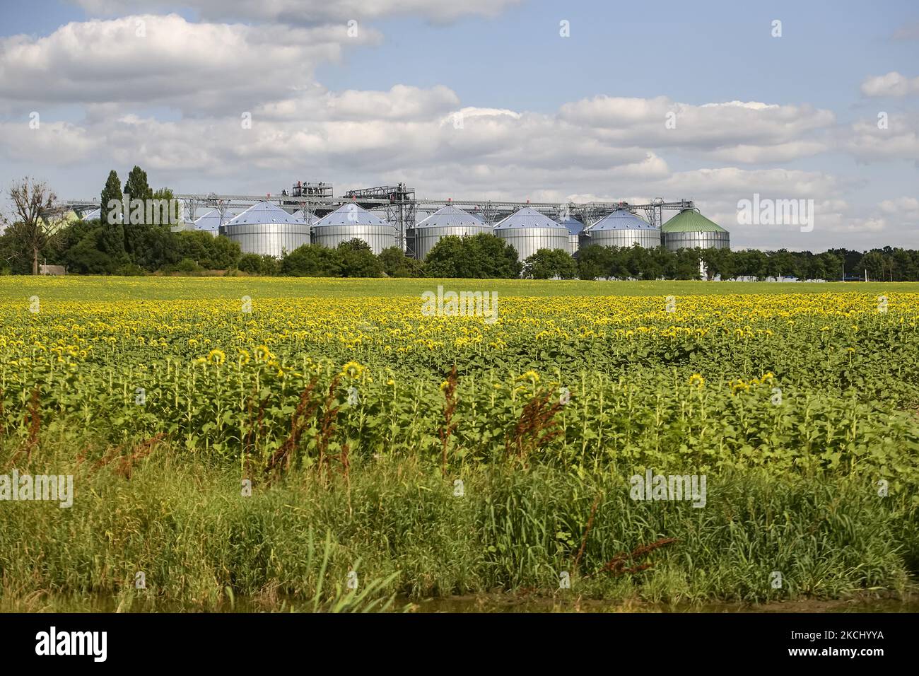 Modern grain elevator hi-res stock photography and images - Alamy