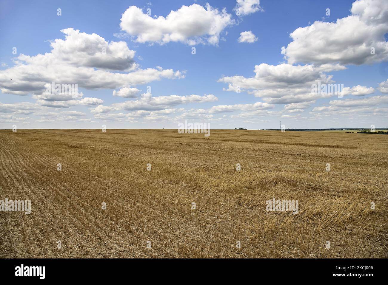 Farm fields with various crops in Vinnytsia region, Ukraine. July 2021 ...