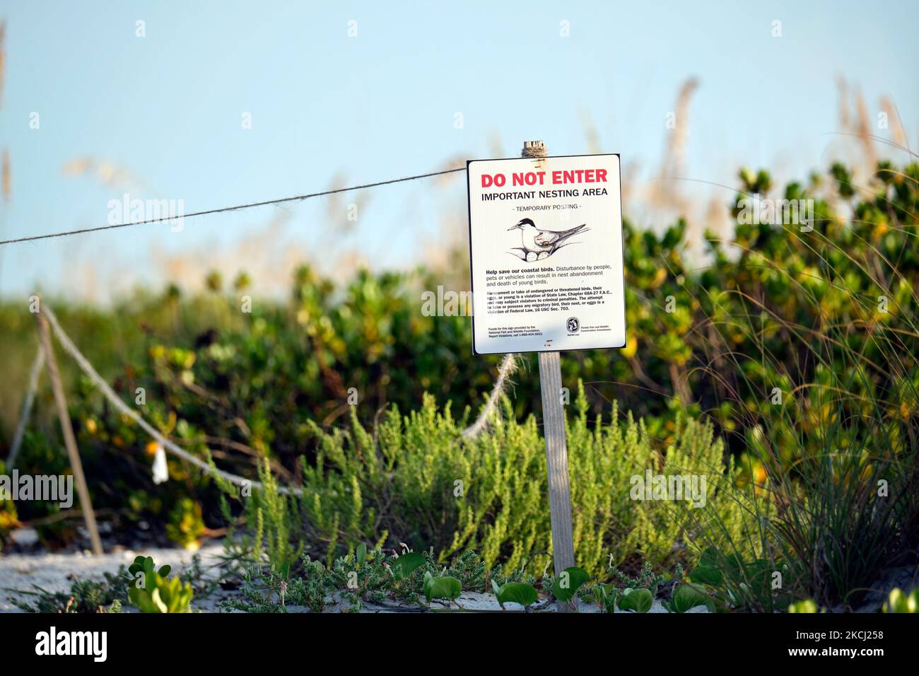 Signboard with warning about nesting area of sea birds on seaside beach ...