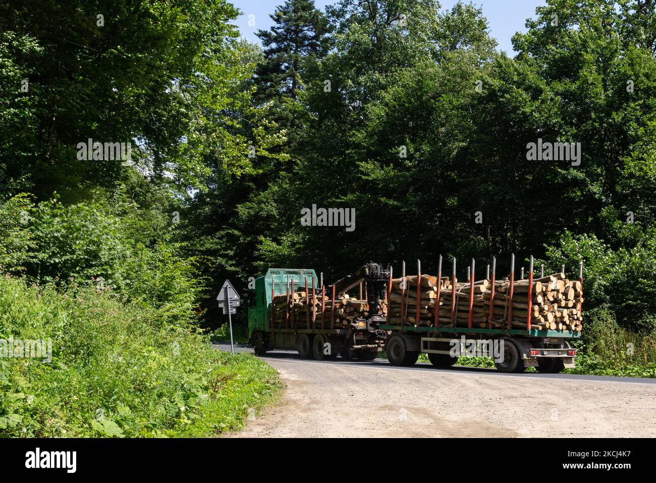Occupational deforestation protest hi-res stock photography and images ...