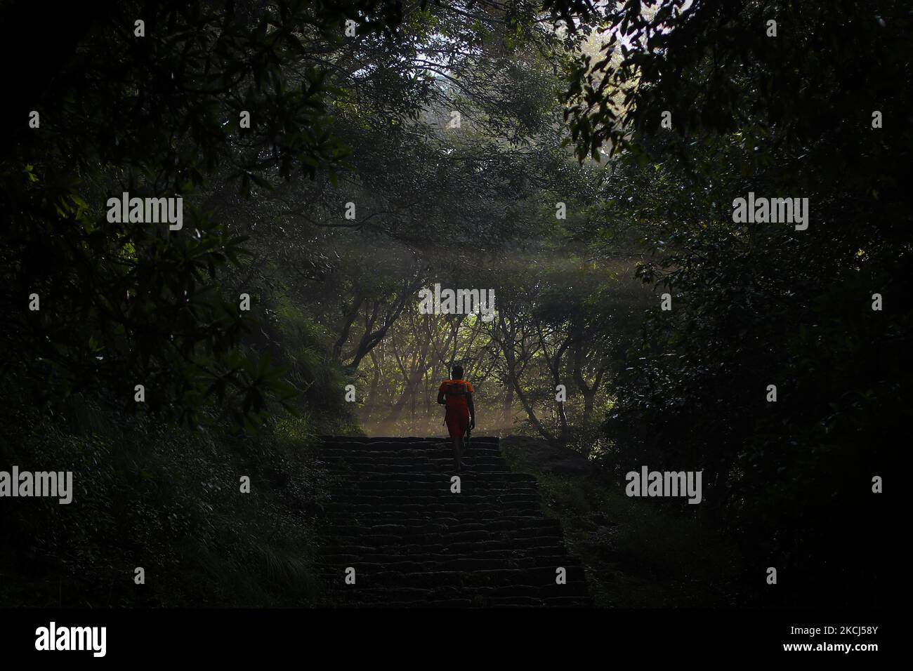 A Hindu worshipper or pilgrim also called Bol Bom offer prayers as he ...