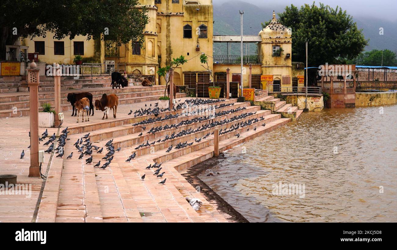 A View of pushkar Lake after heavy monsoon rain made the water level ...