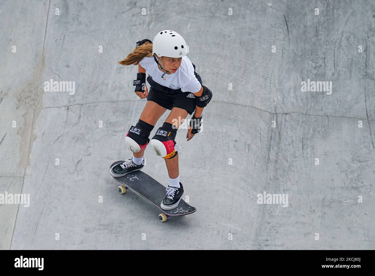 Lilly stoephasius hi-res stock photography and images - Alamy