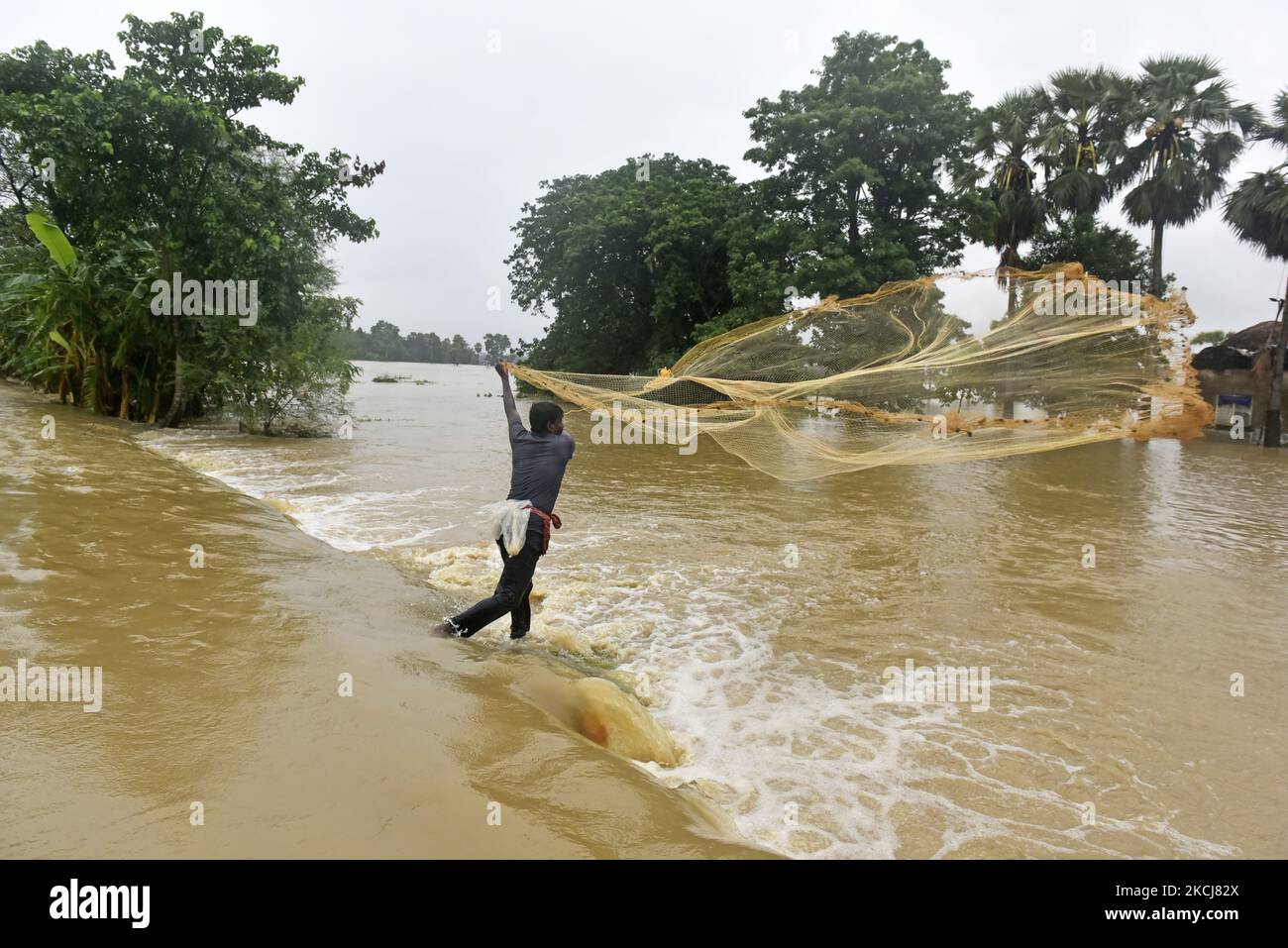Massive catch of fish hi-res stock photography and images - Alamy