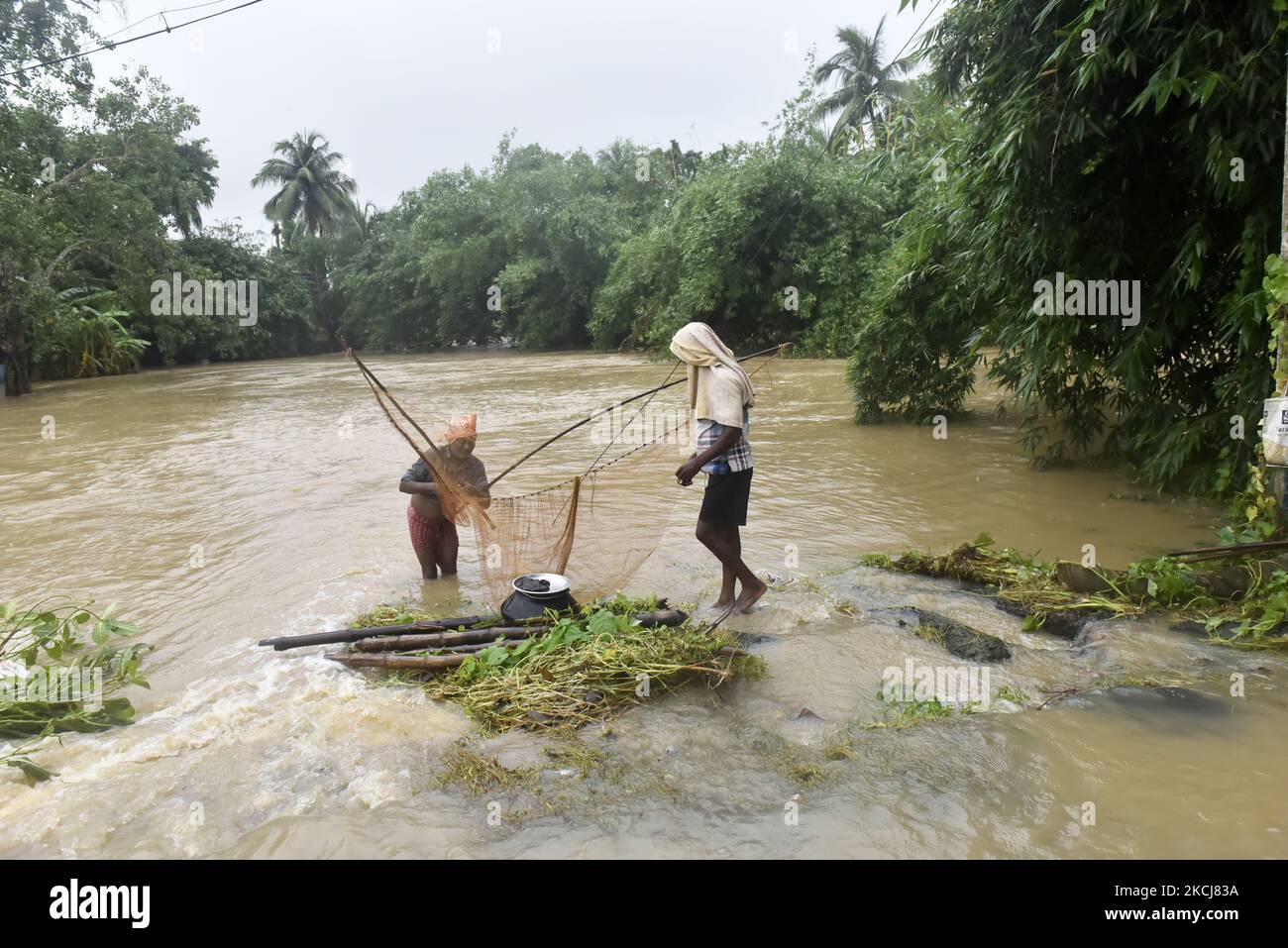 Massive catch of fish hi-res stock photography and images - Alamy