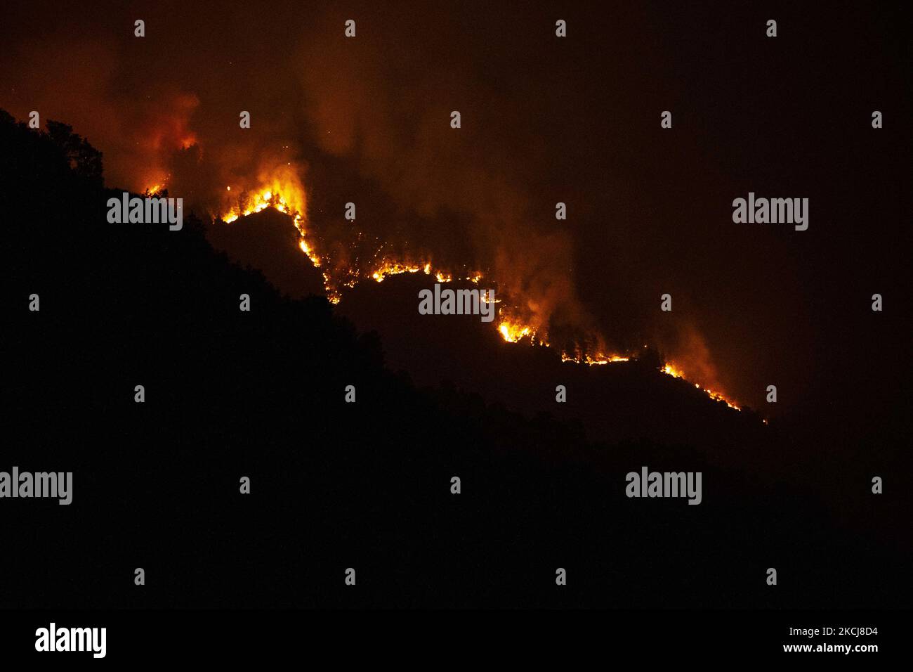 Night Images of the wildfire burring pine forest and olive groves on ...