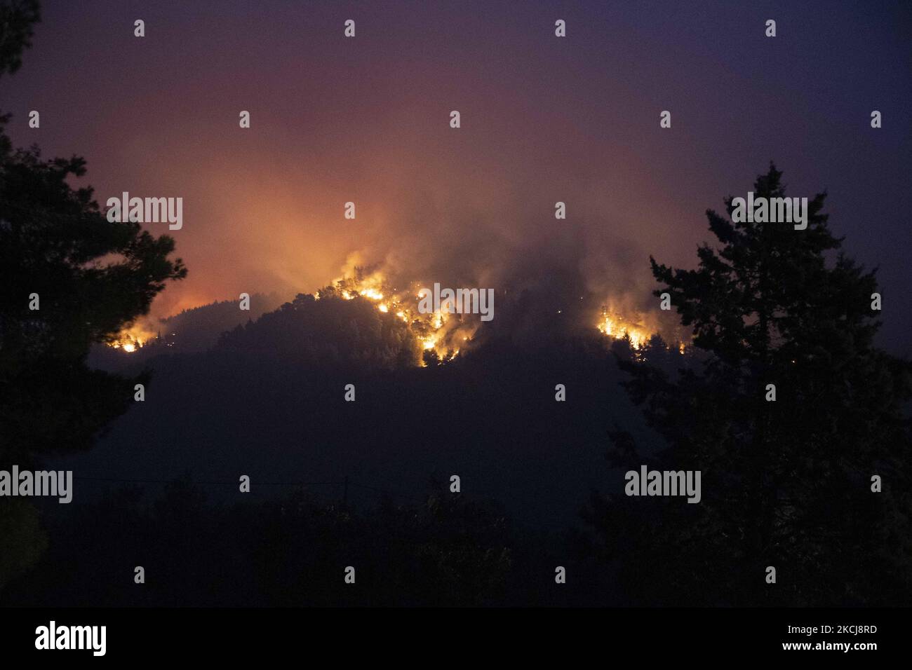 Night Images of the wildfire burring pine forest and olive groves on ...