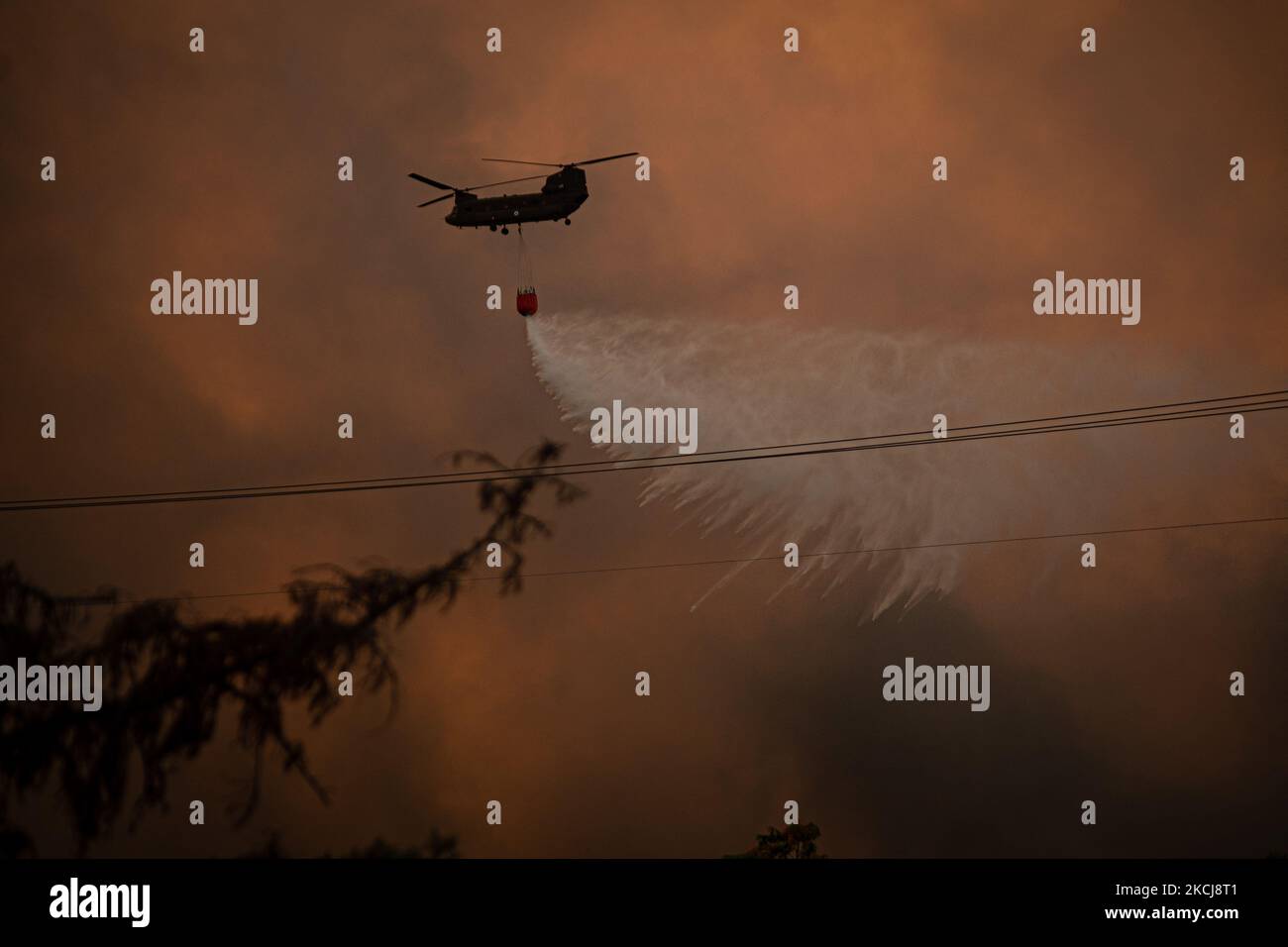 Greek firefighters trying to contain the wildfire at Varibobi. (Photo ...