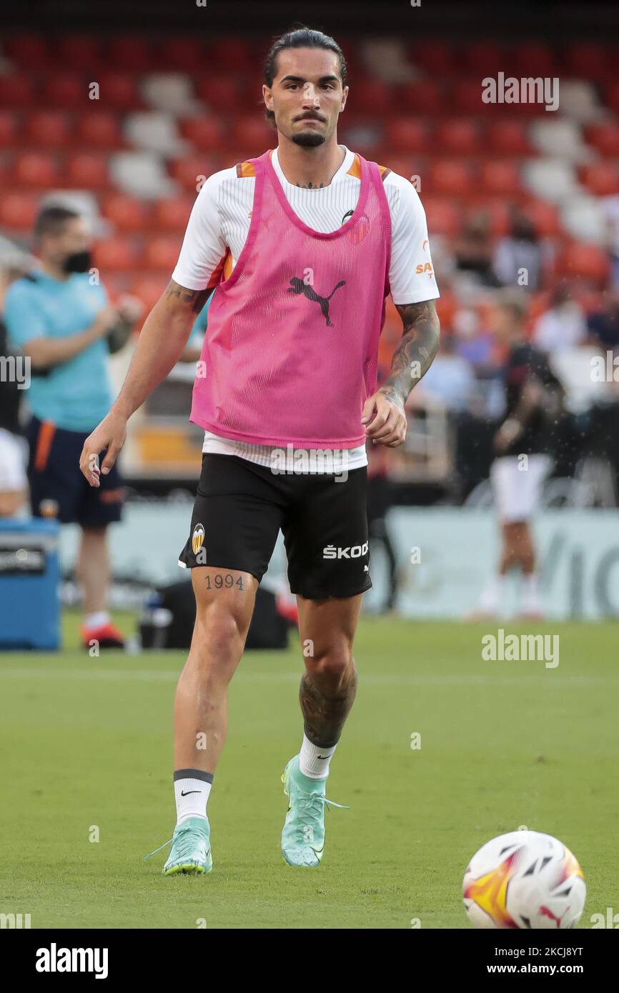 Salgueiro hi-res stock photography and images - Alamy