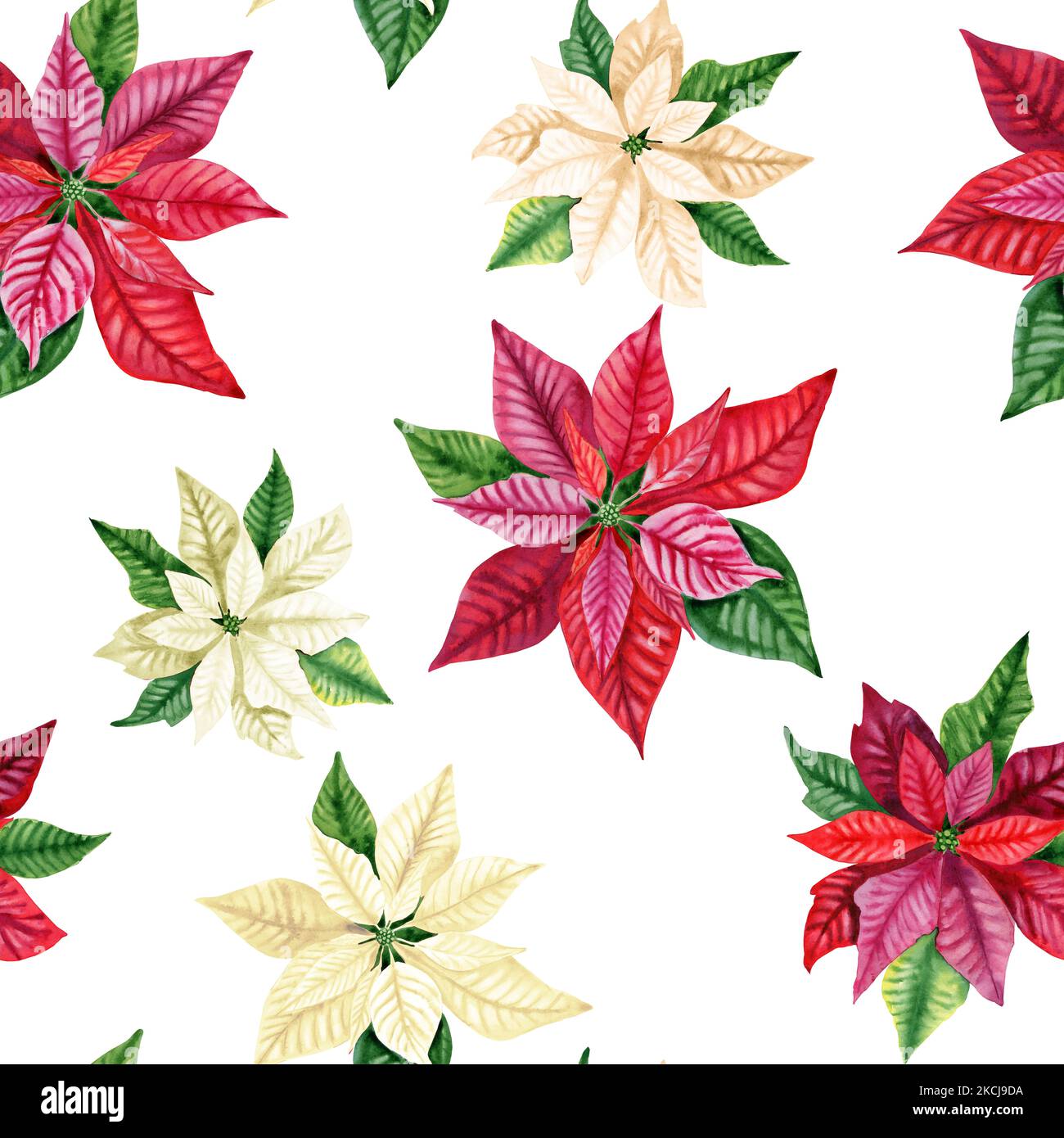 Red poinsettia watercolor seamless pattern. Endless Christmas ...