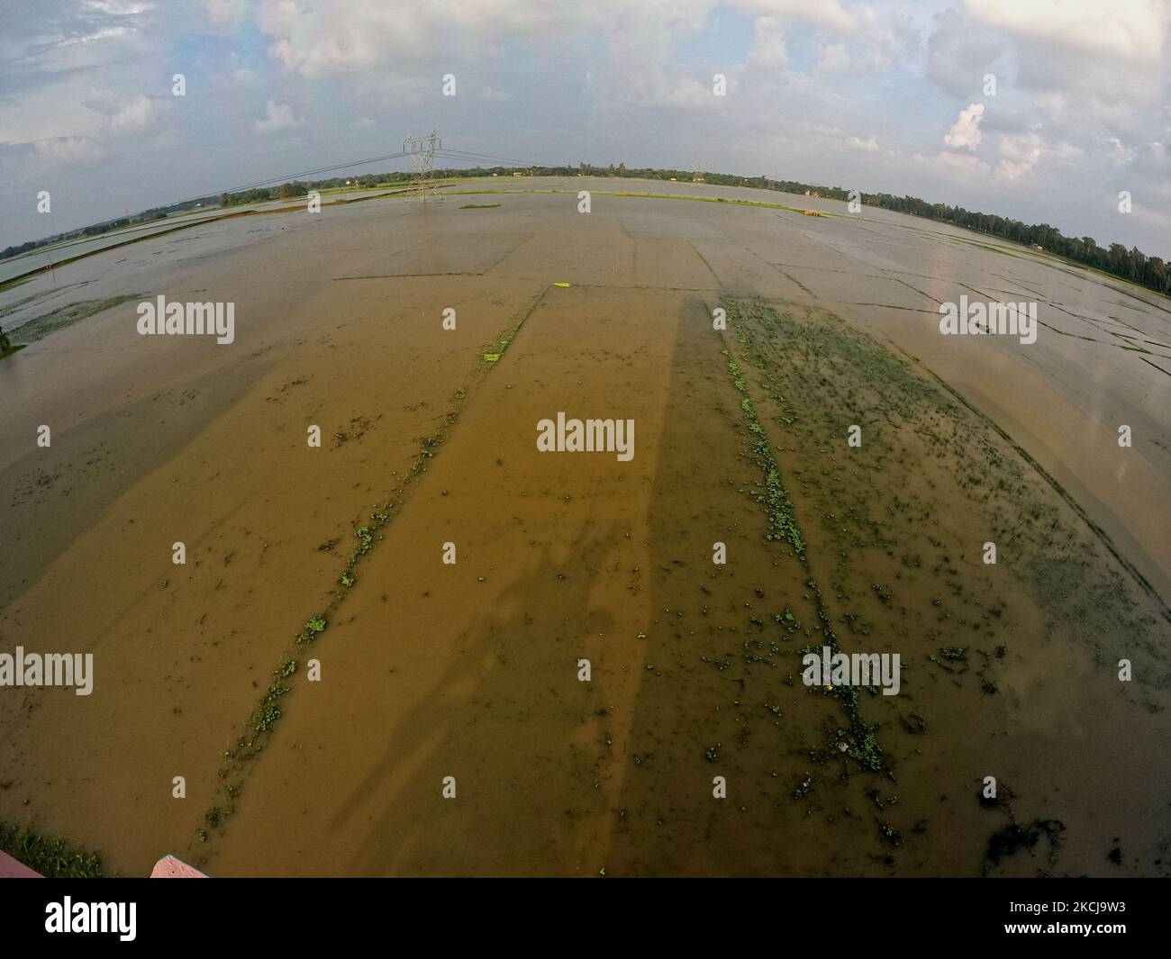The Farmer land submerged by floodwaters following heavy monsoon rains ...