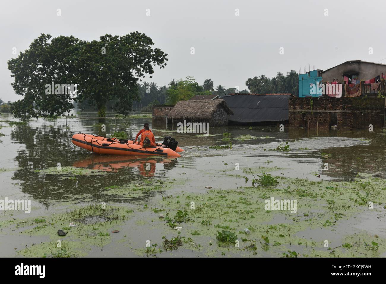 NDRF - National Disaster Response Force teams are deployed in the flood ...