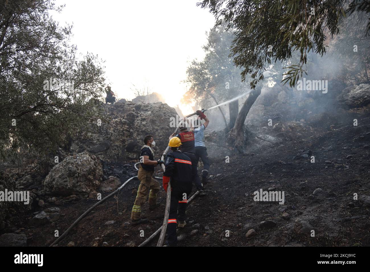 Turkey's most destructive fires in decades have razed forests and ...