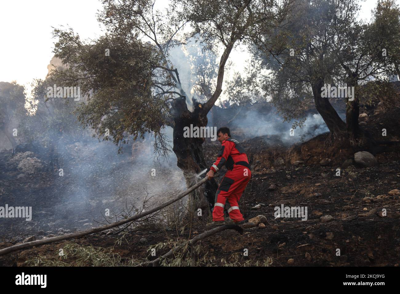 Turkey's most destructive fires in decades have razed forests and ...