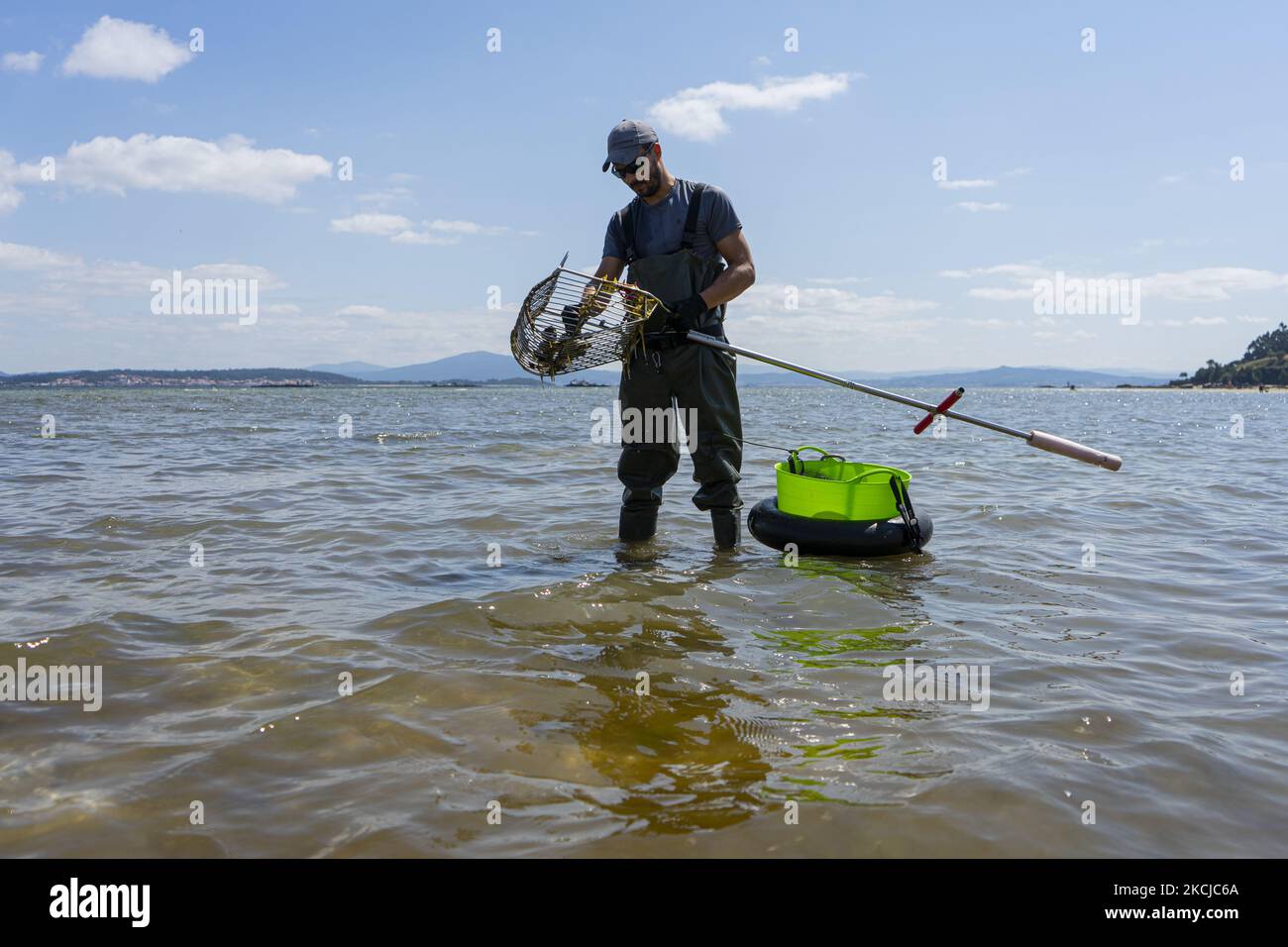 Rake clams hi-res stock photography and images - Alamy