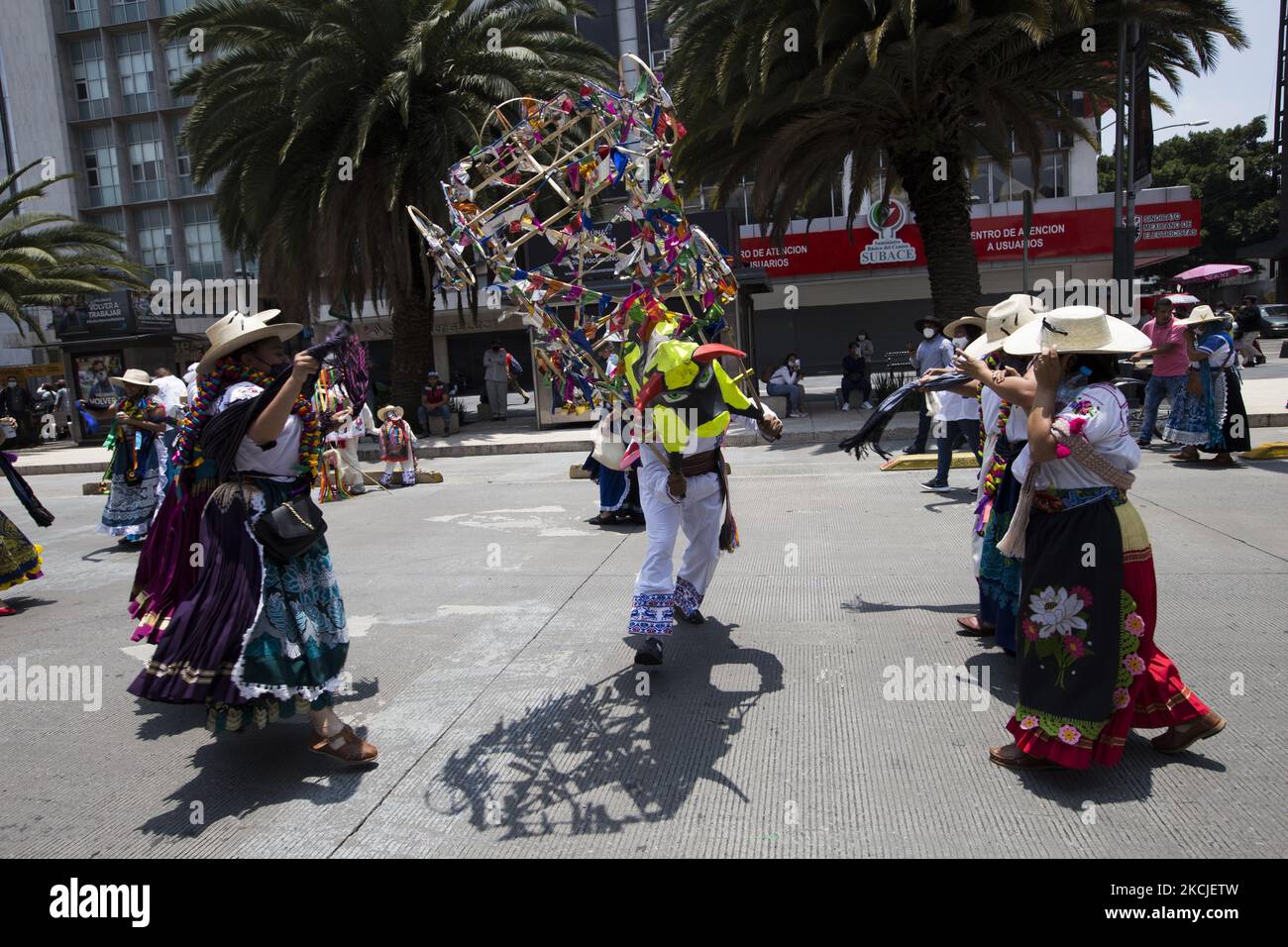 Members of various indigenous and Afro-Mexican people residing in ...