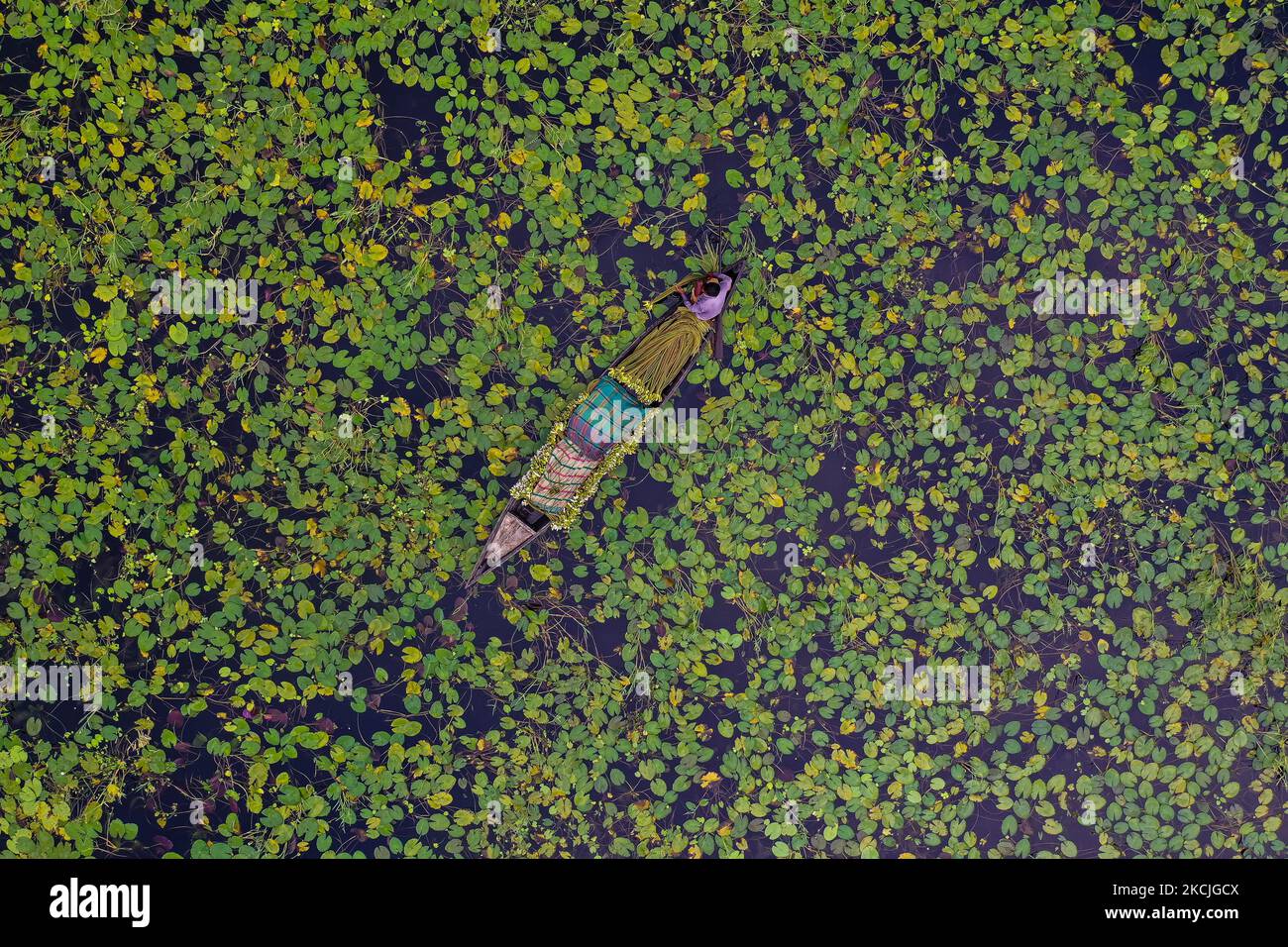 (Editor’s note: Image taken with a drone.) This aerial photograph shows ...