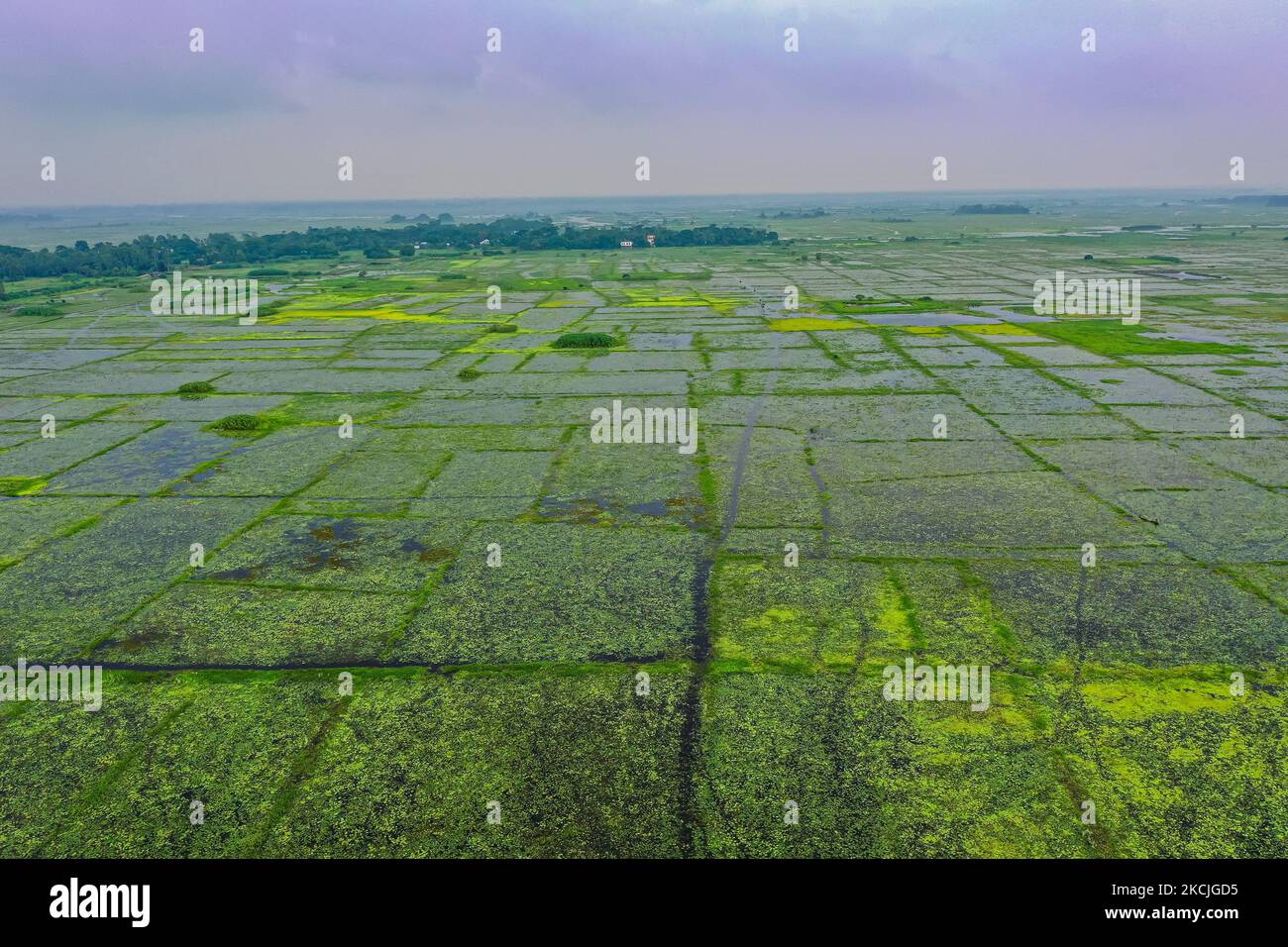 (Editor’s note: Image taken with a drone.) This aerial photograph shows ...