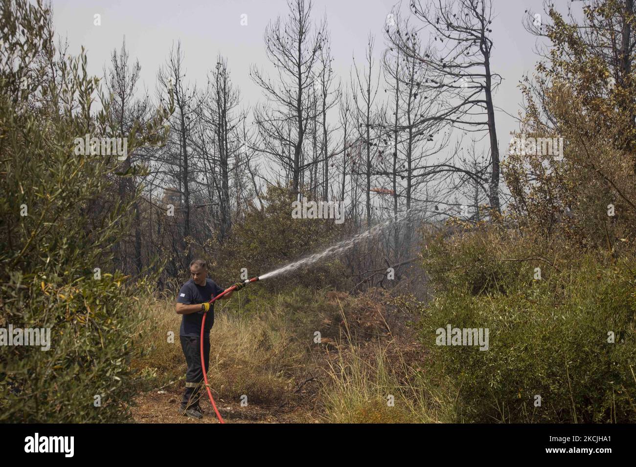 Firefighters continue to tackle a wildfire in the village of Galatsonas ...