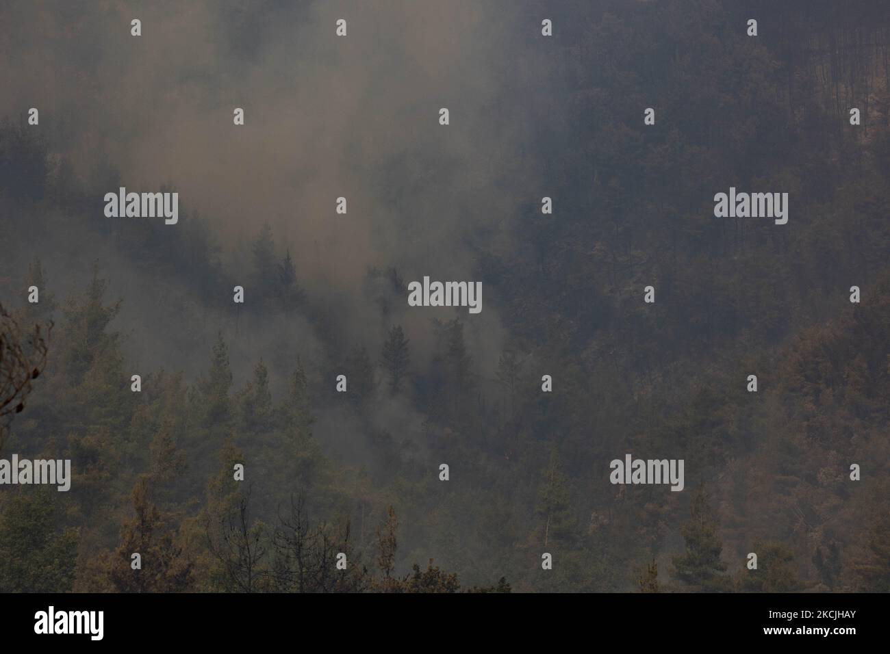 Wildfires in the village of Galatsonas, in the Greek Island of Evia ...