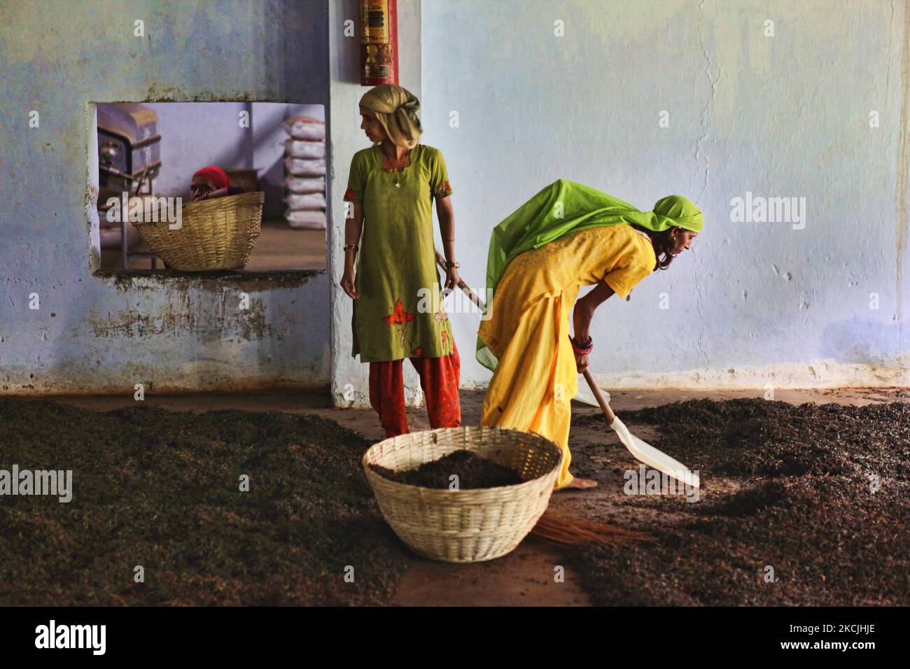 Baijnath government tea factory hi-res stock photography and images - Alamy