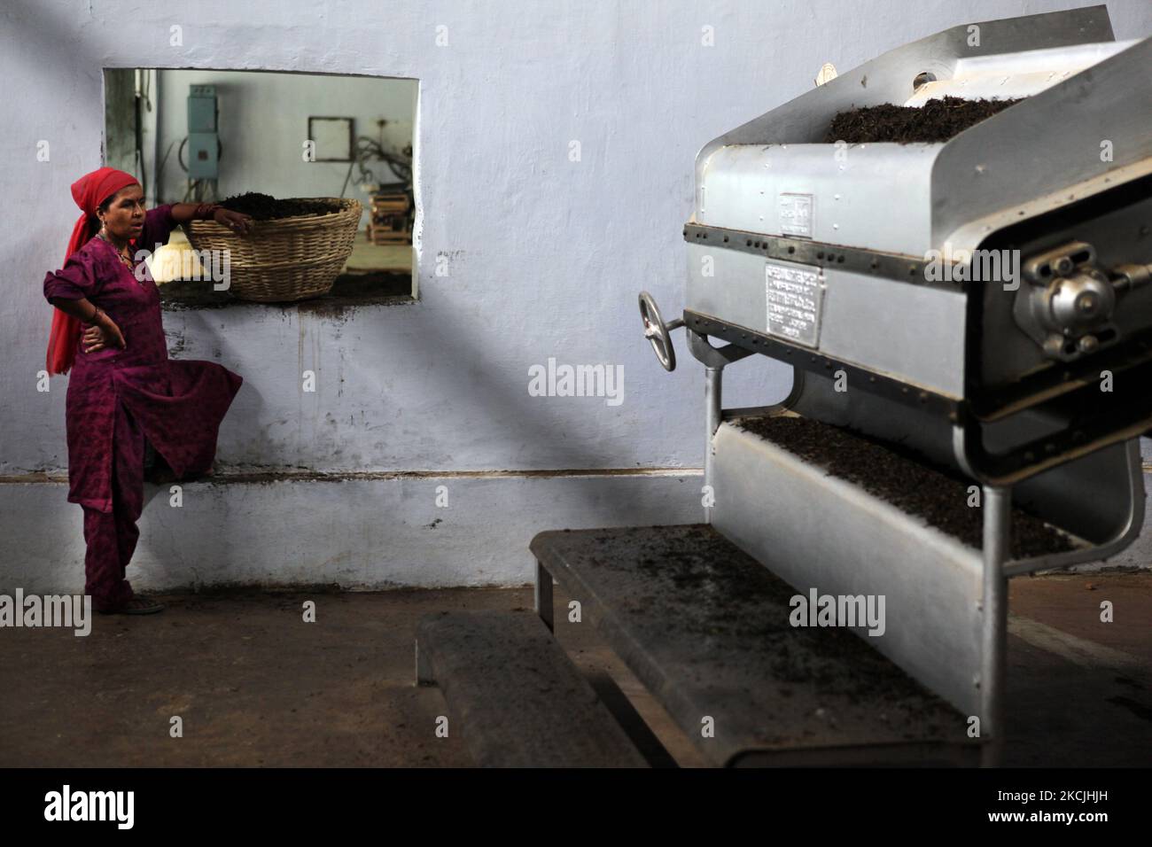 Baijnath government tea factory hi-res stock photography and images - Alamy