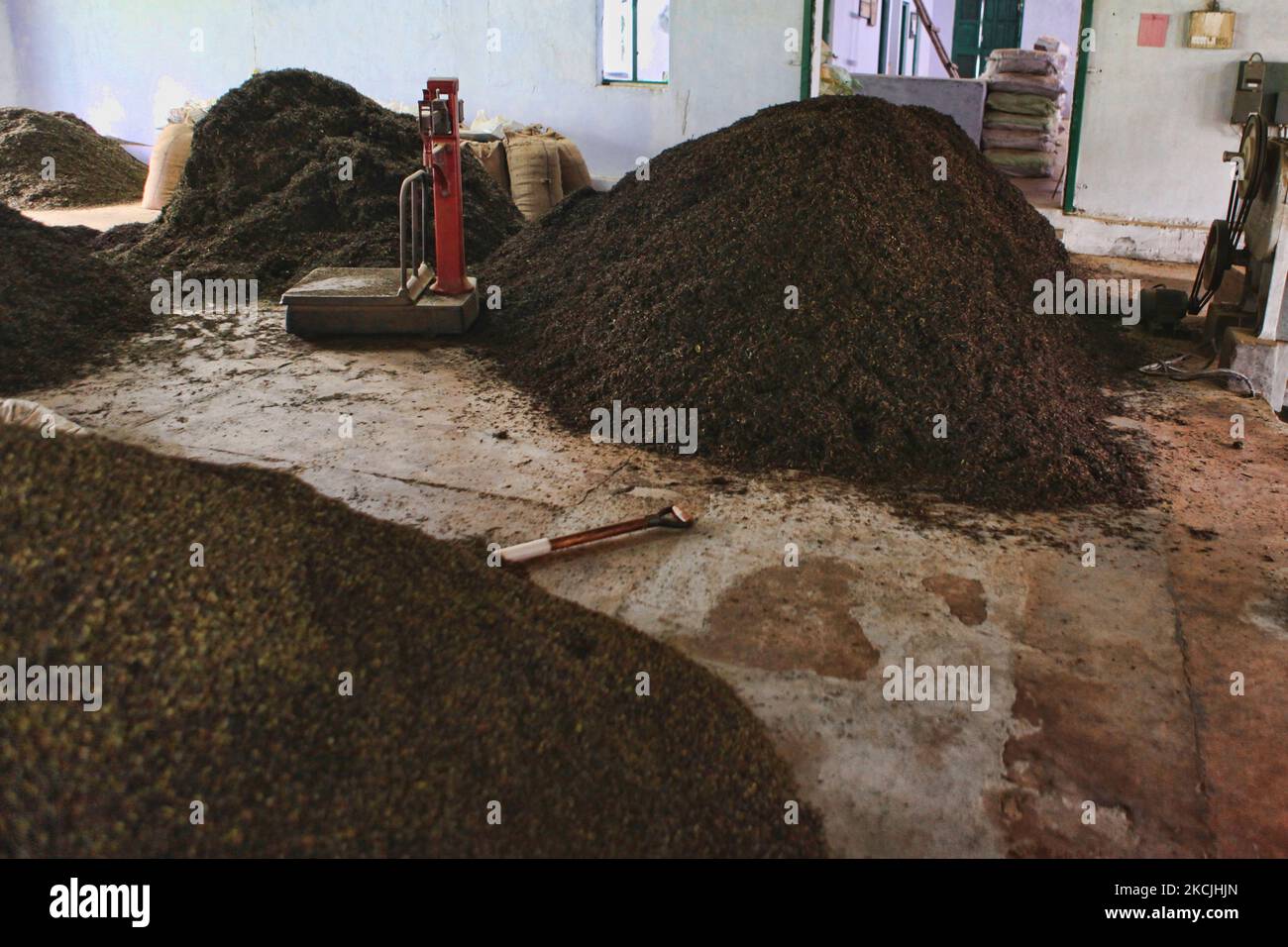 Heaps of freshly roasted tea leaves wait to be packaged at the Baijnath ...
