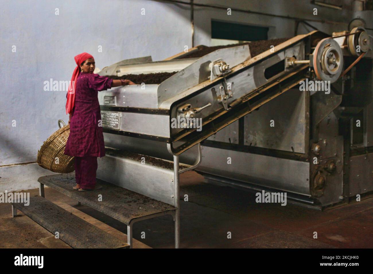 Tea harvesting machine harvester in hi-res stock photography and images ...