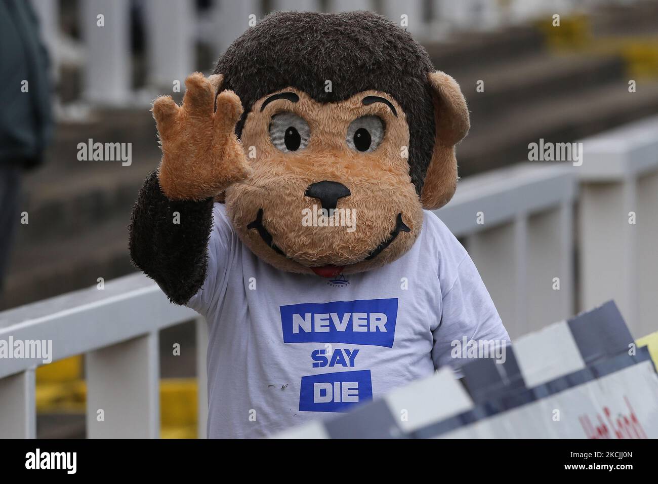 Hartlepool united mascot hi-res stock photography and images - Alamy