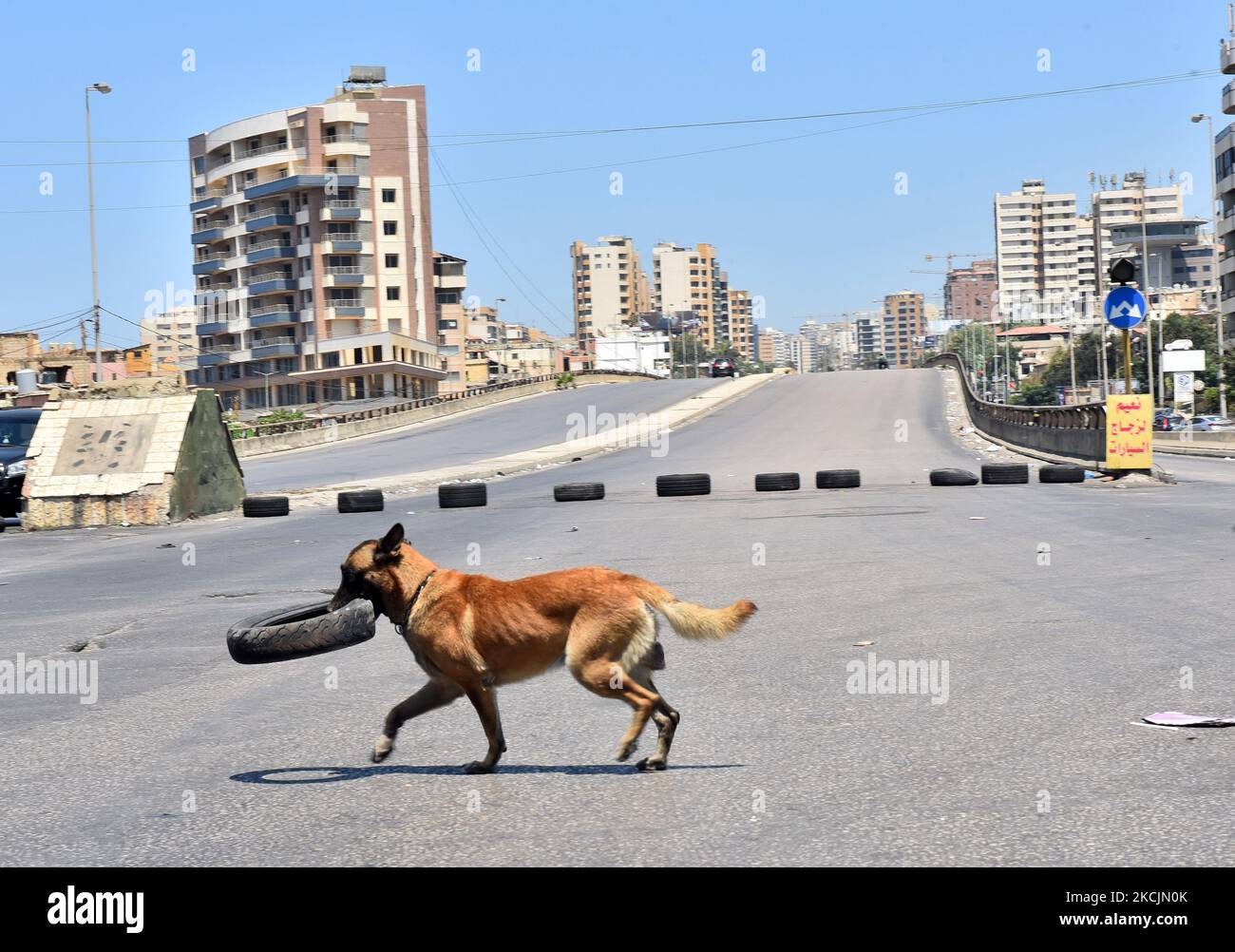 Road blocked in Beirut due to lifting of fuel subsidies in Beirut ...