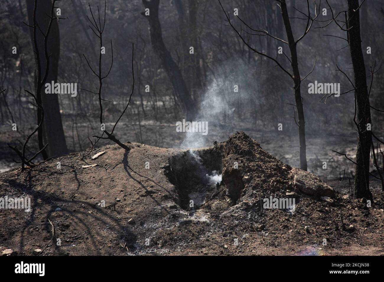 Firefighters extinguish little flames in the forest near Agia Anna. The ...