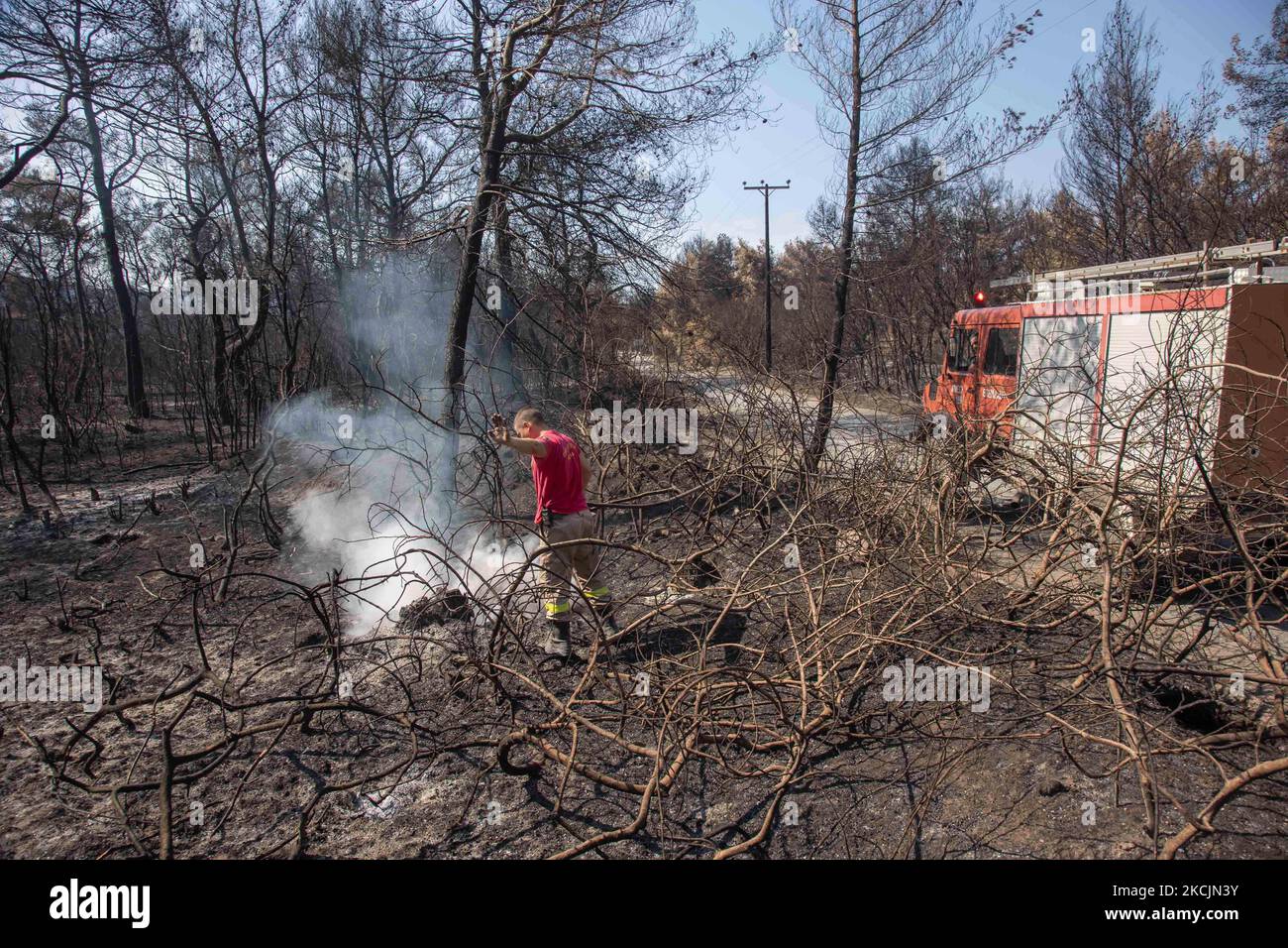 Firefighters extinguish little flames in the forest near Agia Anna. The ...