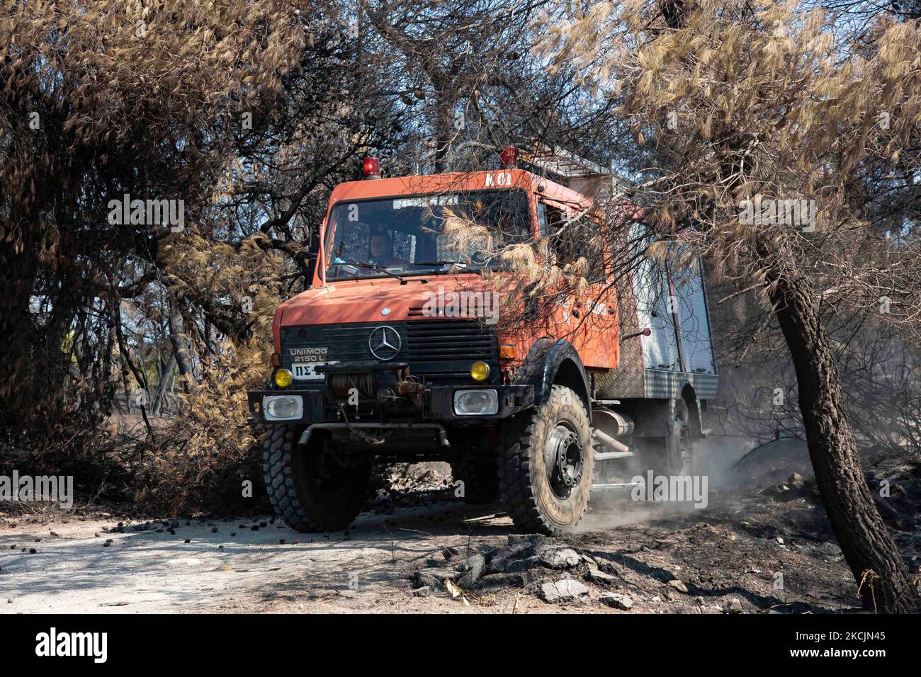 Firefighters extinguish little flames in the forest near Agia Anna. The ...