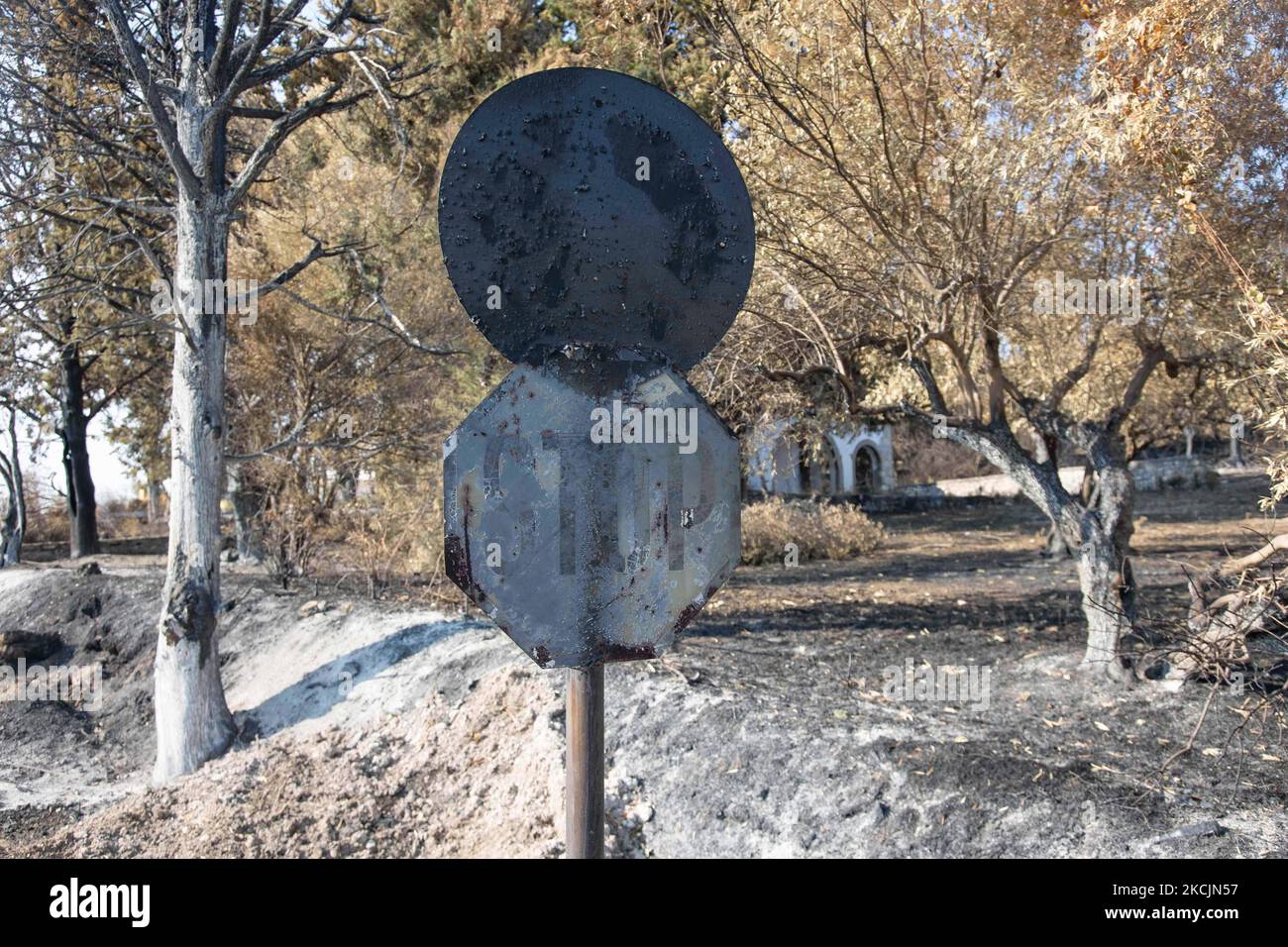 Road signs burned near Limni. The aftermath of the fires in Greece ...