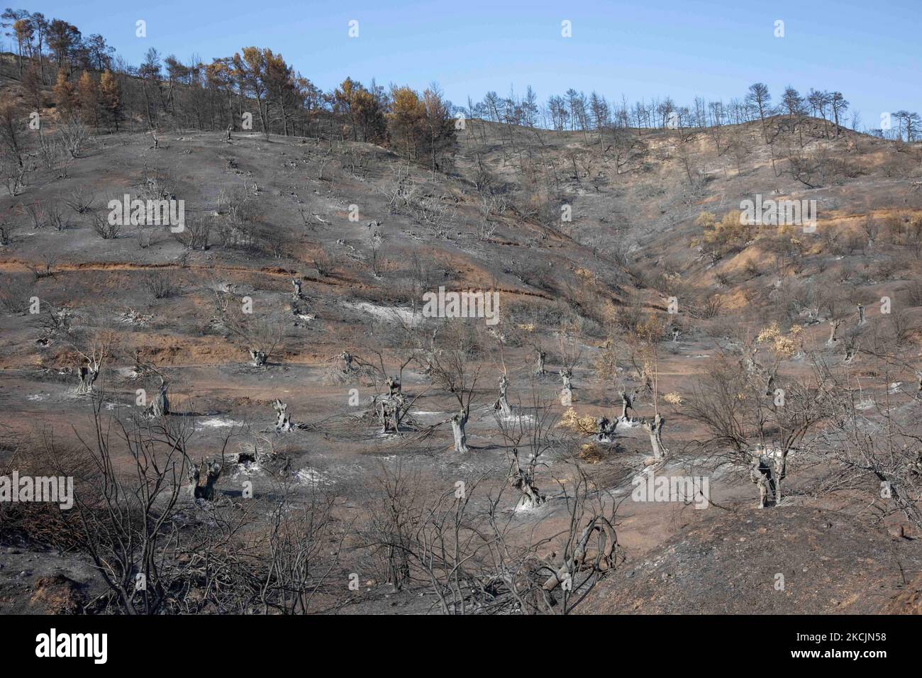Little burnt island hi-res stock photography and images - Alamy