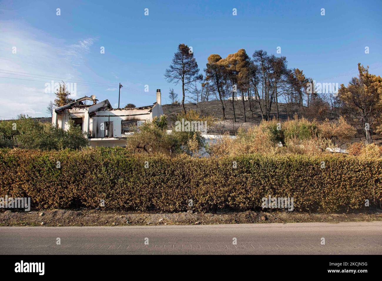 Burned house in Rovies. The aftermath of the fires in Greece, while ...