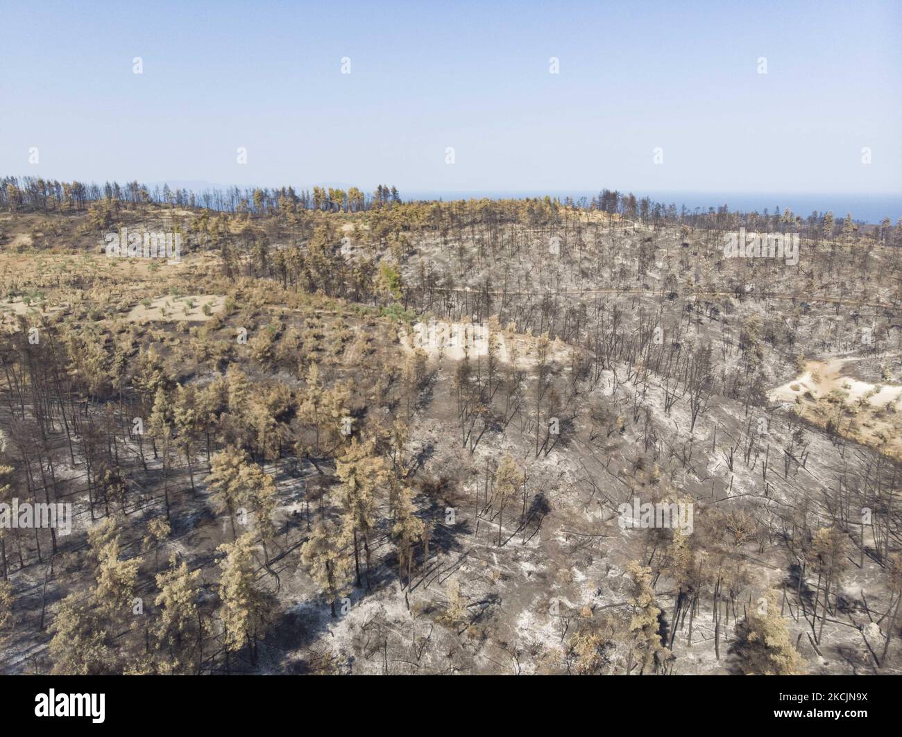 Drone footage shows devastating aftermath of wildfires in Evia, Greece ...