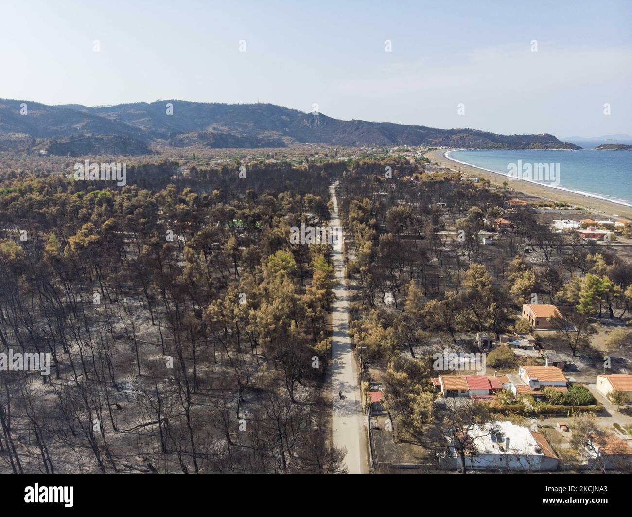 Drone footage shows devastating aftermath of wildfires in Evia, Greece ...