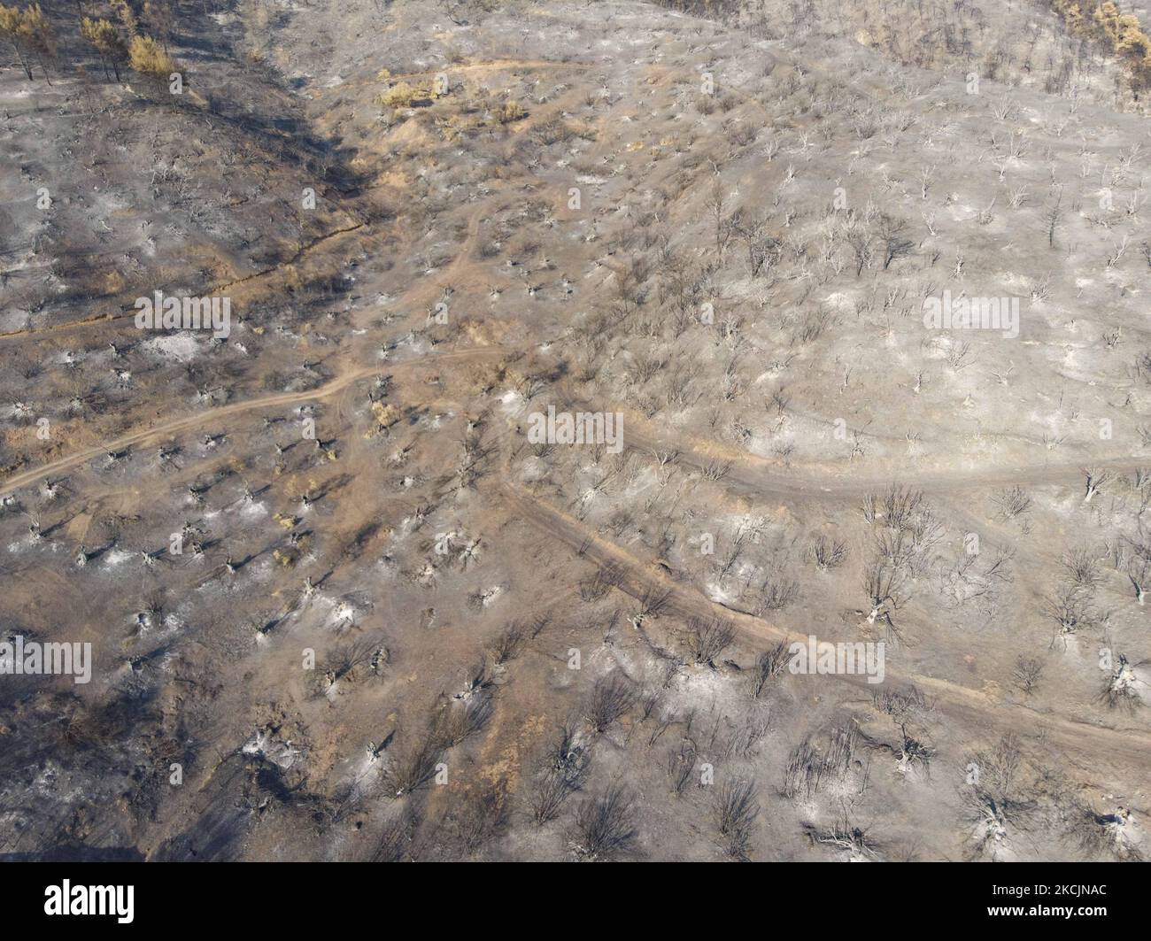 Drone footage shows devastating aftermath of wildfires in Evia, Greece ...